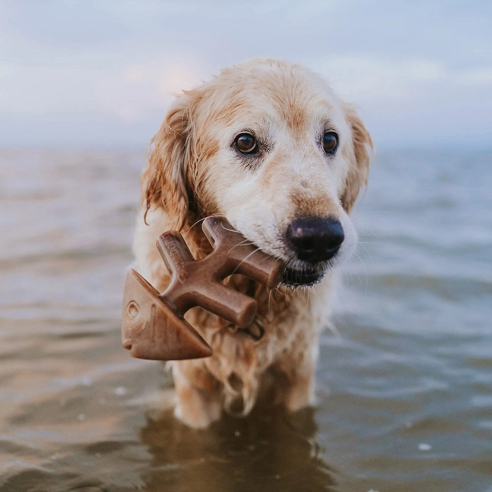 Benebone Fishbone – Felix 'n Fido