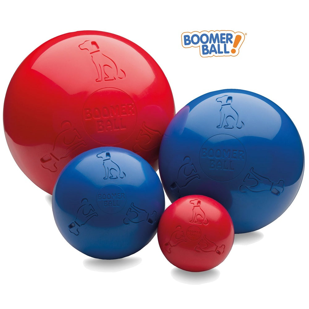 Boomer Ball – The ultimate tough toy – Felix 'n Fido